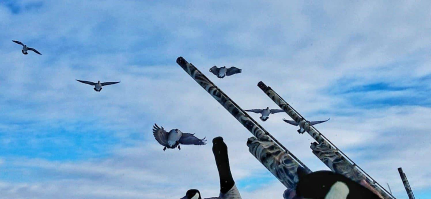 Welcome to Fowl Habits-Premier Waterfowl Hunting